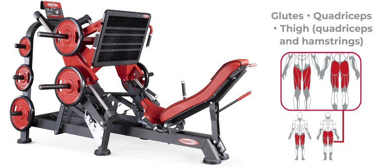 PANATTA（パナッタ）特設ページ【FiT24】