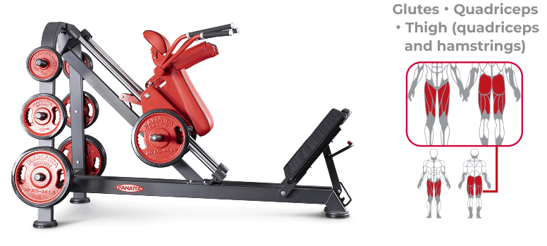 PANATTA（パナッタ）特設ページ【FiT24】