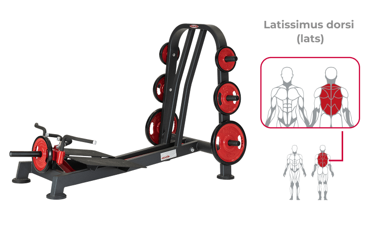 PANATTA（パナッタ）特設ページ【FiT24】